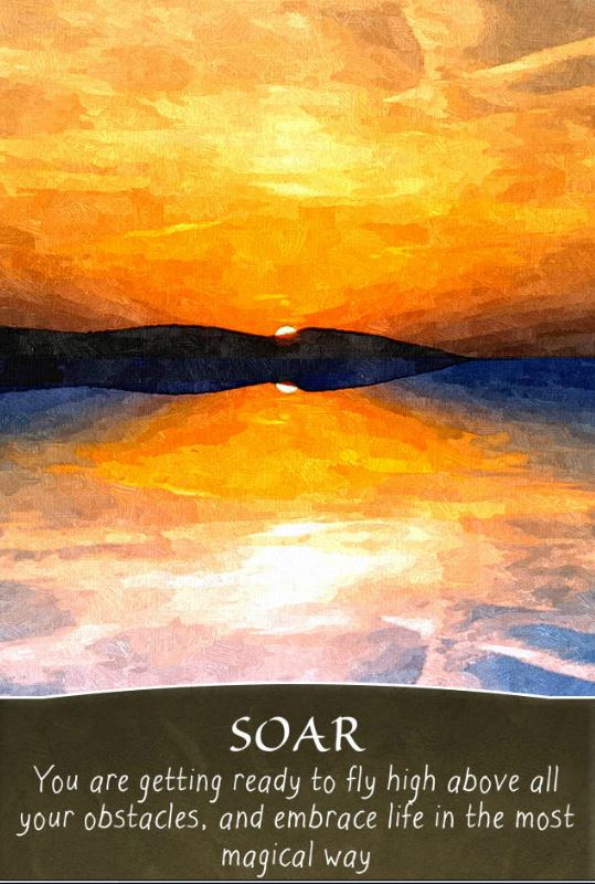 Weekly Oracle Card Reading November 20th
